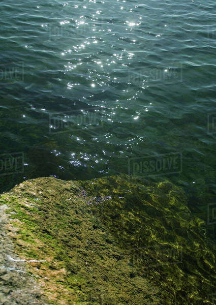Sunlight glistening on surface of water and algae covered rock - Stock ...