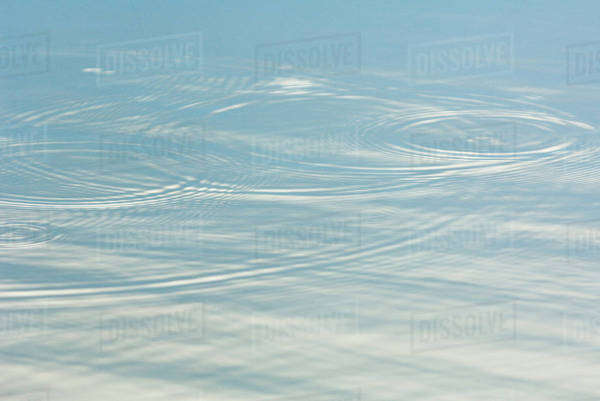 Rippled surface of water - Royalty-free Stock Photo | Dissolve