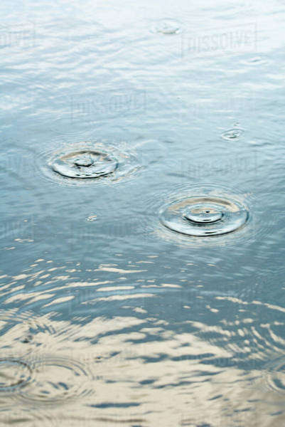 Rippled surface of water - Royalty-free Stock Photo | Dissolve