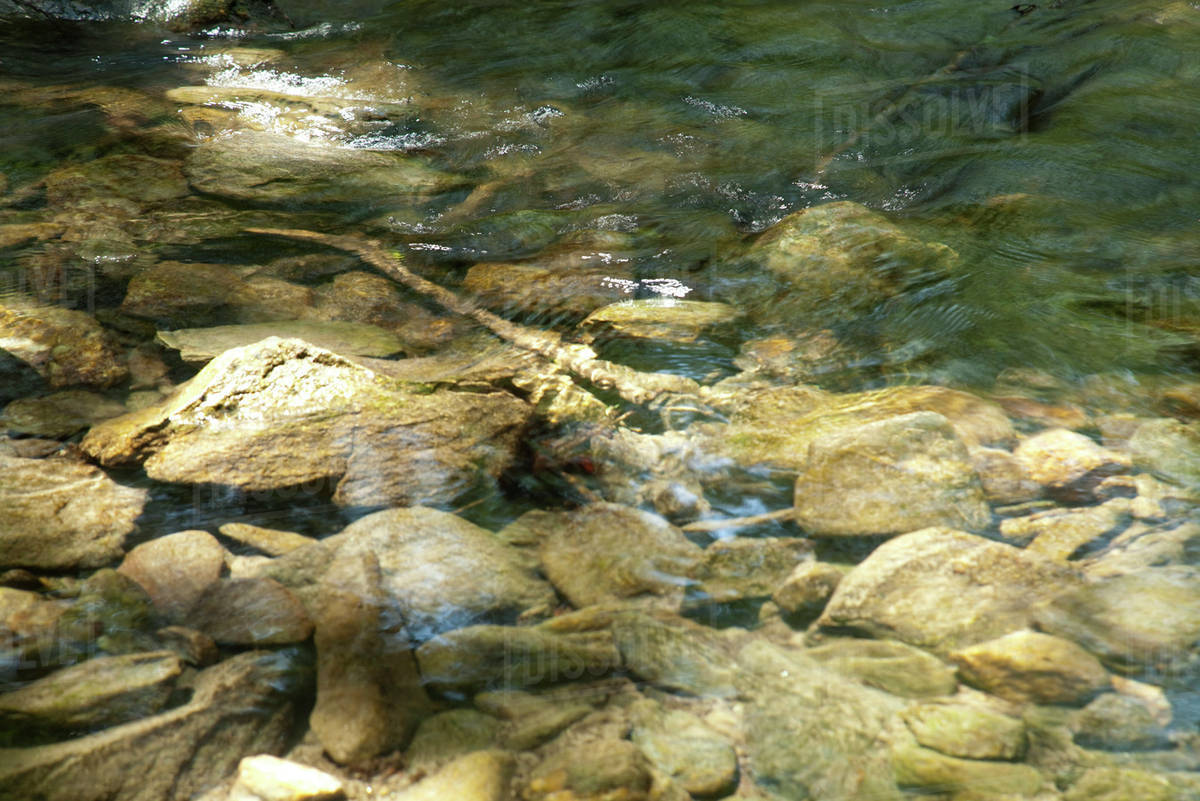 Clear river with rocks - Royalty-free Stock Photo | Dissolve