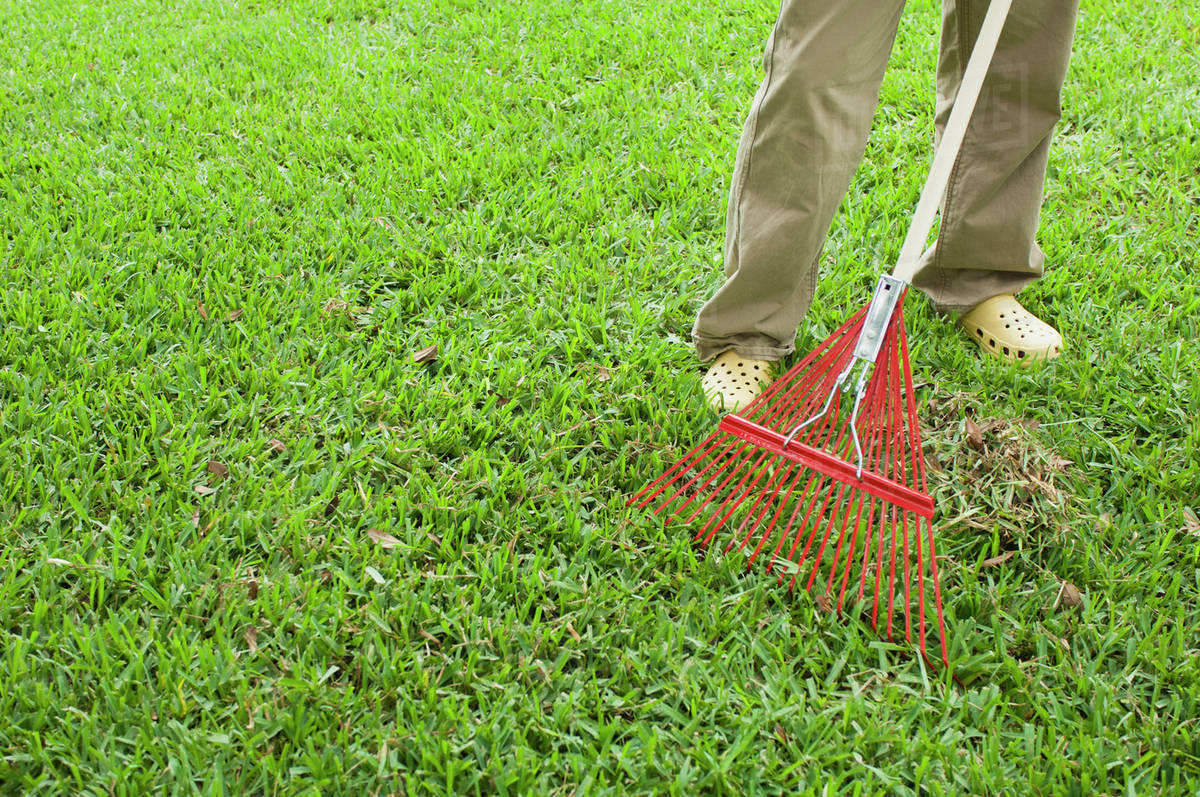 Person raking lawn, low section - Royalty-free Stock Photo | Dissolve