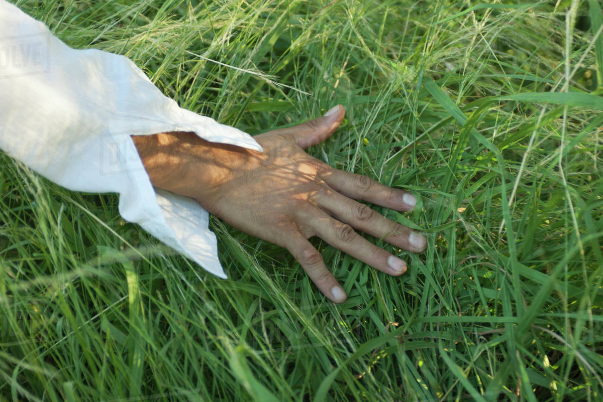 Man's hand touching grass, cropped - Royalty-free Stock Photo | Dissolve