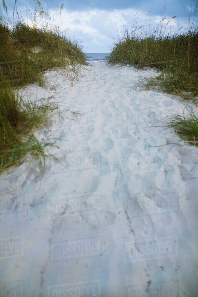 Pathway in sand dune to beach - Royalty-free Stock Photo | Dissolve