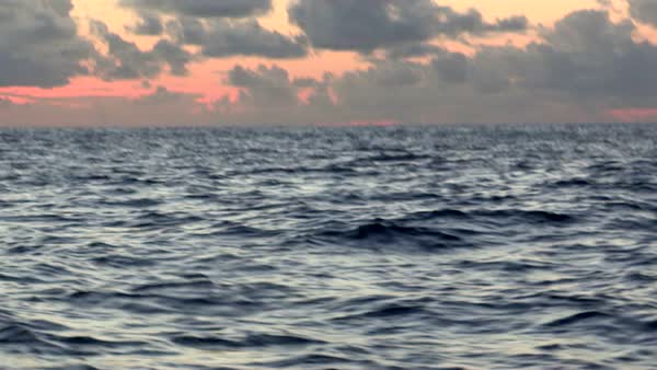 Open seas sunset. Ocean waves in the open waters. - Stock Video Footage ...