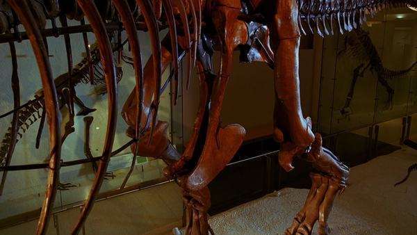 FootageBank | Dissolve