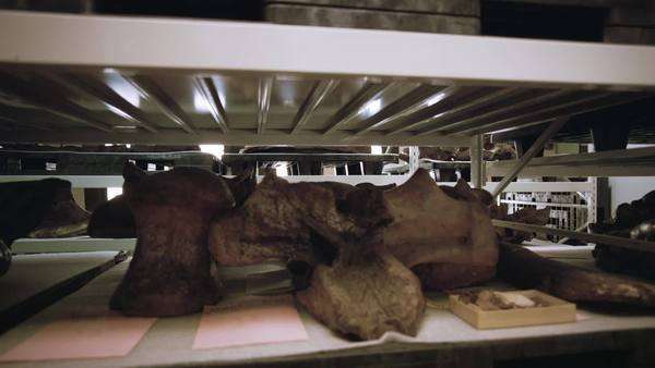 FootageBank | Dissolve