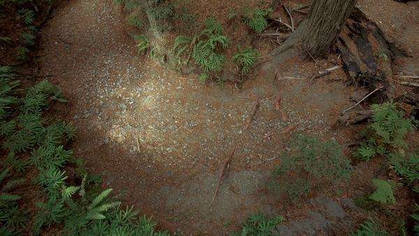 FootageBank | Dissolve