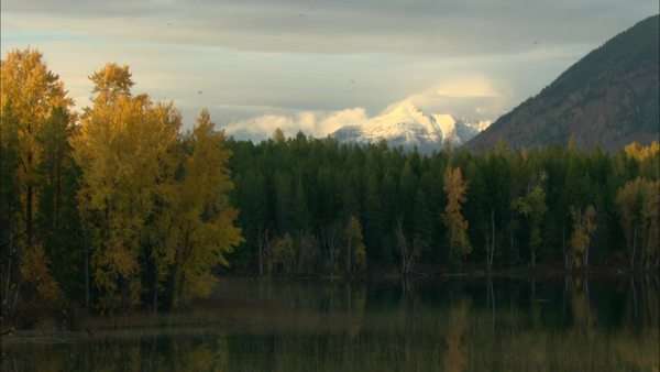 Zooming in shot of scenic landscape with a forest - HD Rights-managed ...