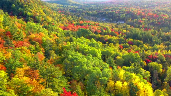 Incomparable Autumn Scenery, Forests and Cliffs of Michigan's Upper ...