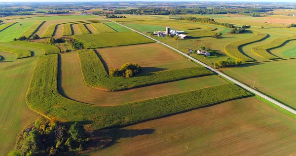 Beautiful strip farming landscape at sunrise, aerial view. - 4K Royalty ...