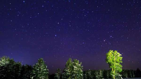 Timelapse of starry night sky and treeline winter landscape. - Stock ...