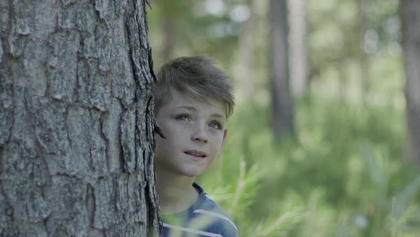 Boy peeking around tree trunk looking up in awe - Stock Video Footage ...