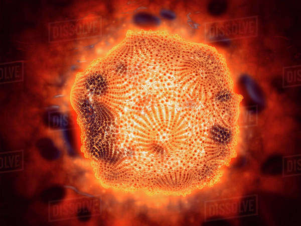 Microscopic view of Canine Parvovirus. - Royalty-free Stock Photo ...