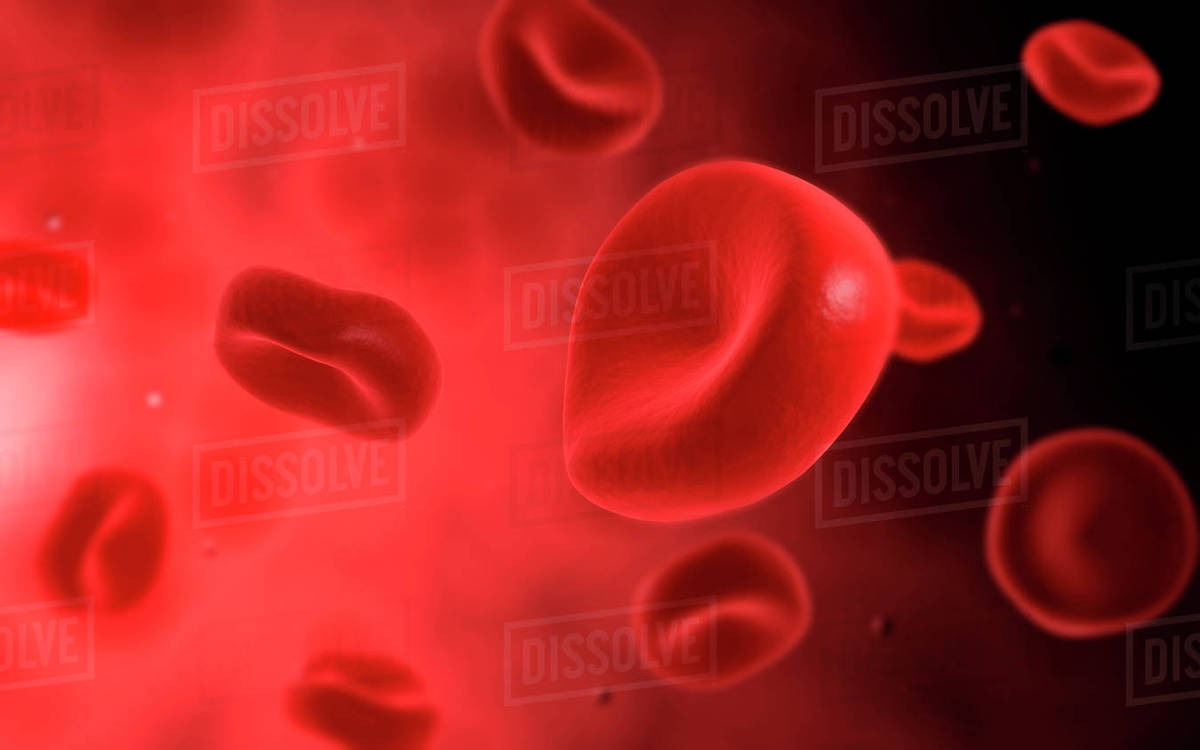 Microscopic view of red blood cells. - Royalty-free Stock Photo | Dissolve