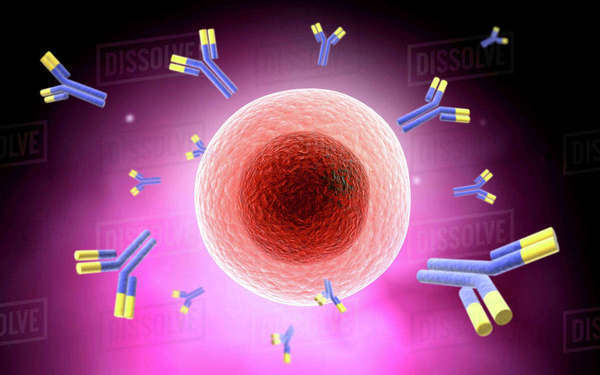 Microscopic view of cell and antibody. - Royalty-free Stock Photo ...