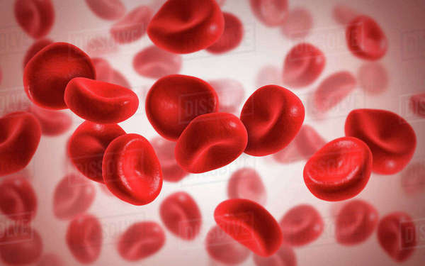 Microscopic view of blood cells. - Royalty-free Stock Photo | Dissolve