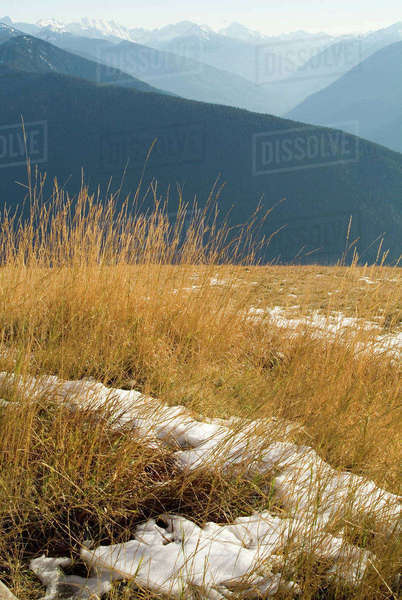Hurricane Ridge, Washington, USA - Stock Photo - Dissolve