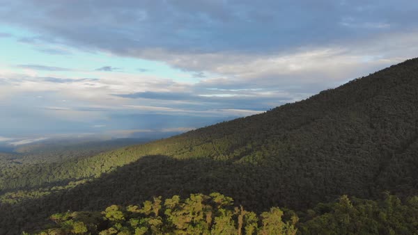 Time-lapse of mist blowing over montane rainforest on the slopes of ...