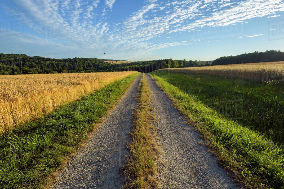 Countryside with Path through Field in Summer, Reichartshausen ...