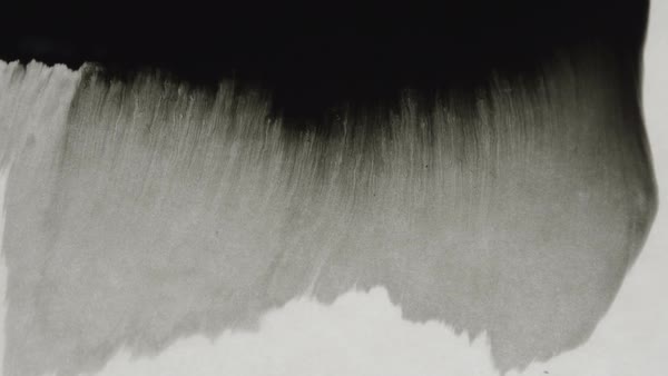 Beautiful ink absorbing into paper with amazingly high detail of ink ...