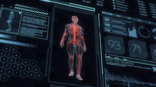 Full Body Human Skeletal System Anatomy walks with Futuristic Screen ...