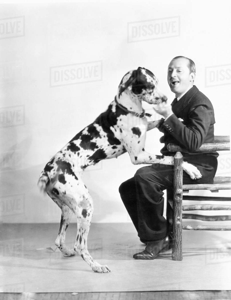 Man playing with dalmatian - Stock Photo - Dissolve