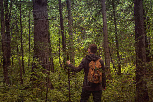 Caucasian man walking in forest - Stock Photo - Dissolve