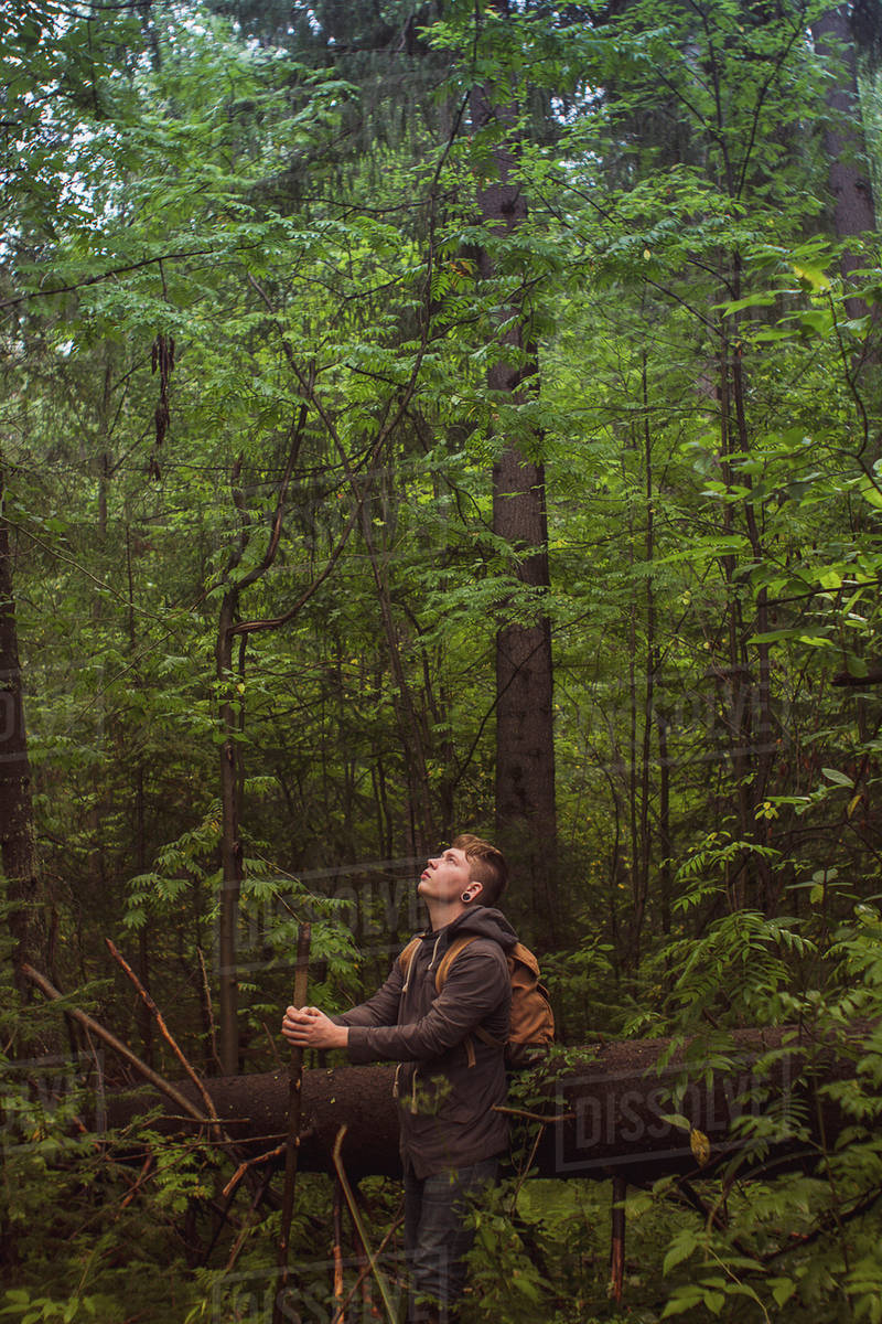 Caucasian man walking in forest - Stock Photo - Dissolve
