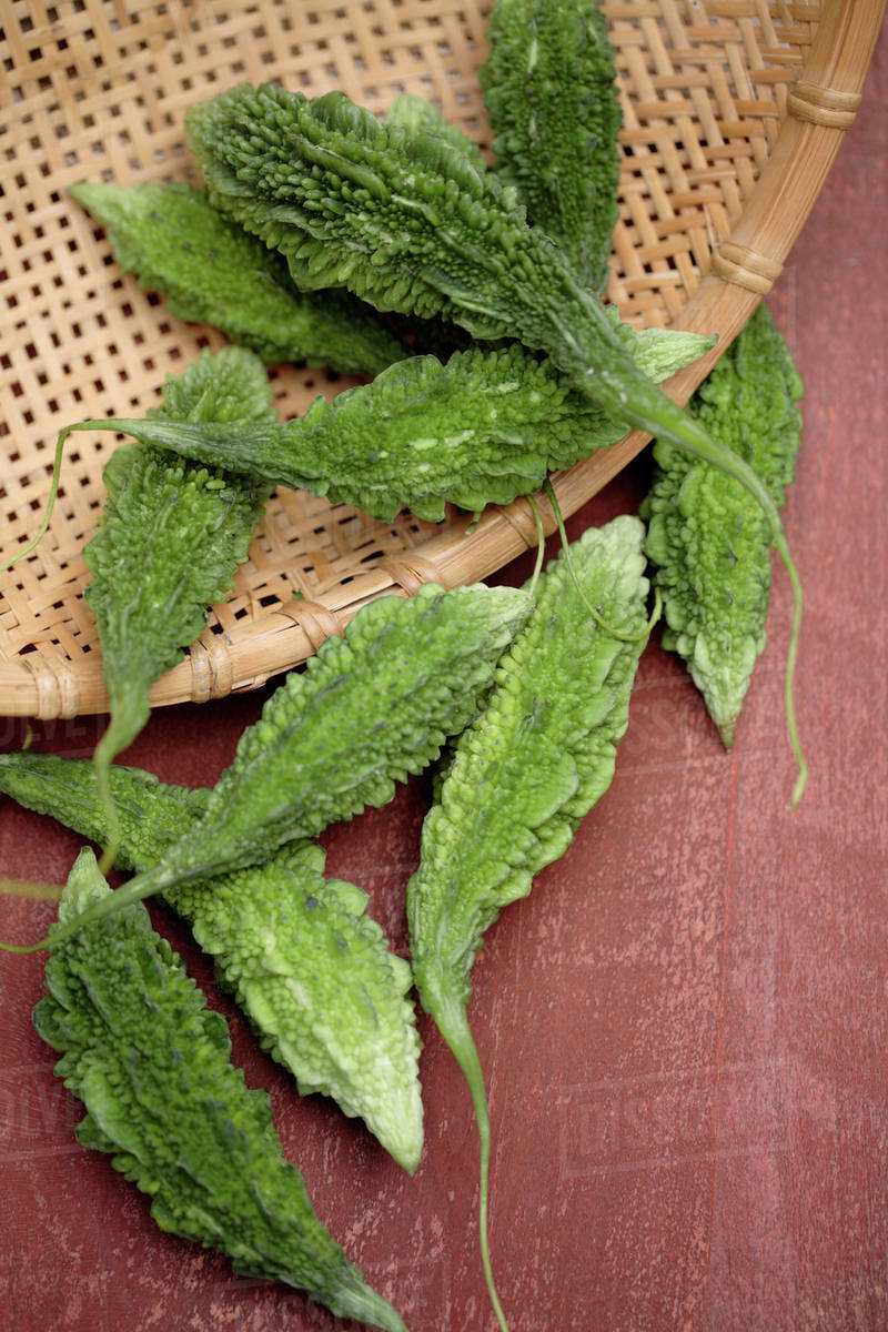 Indian bitter melon - Royalty-free Stock Photo | Dissolve