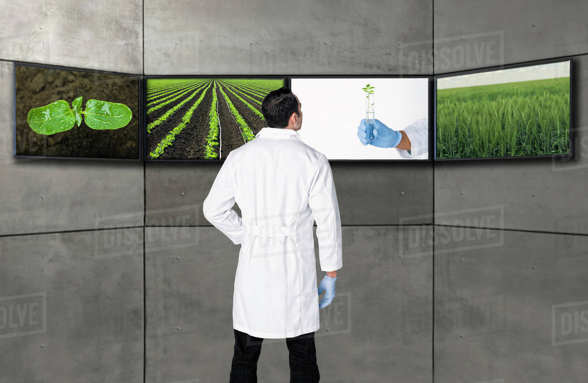 Hispanic scientist looking at images on television screens - Stock ...