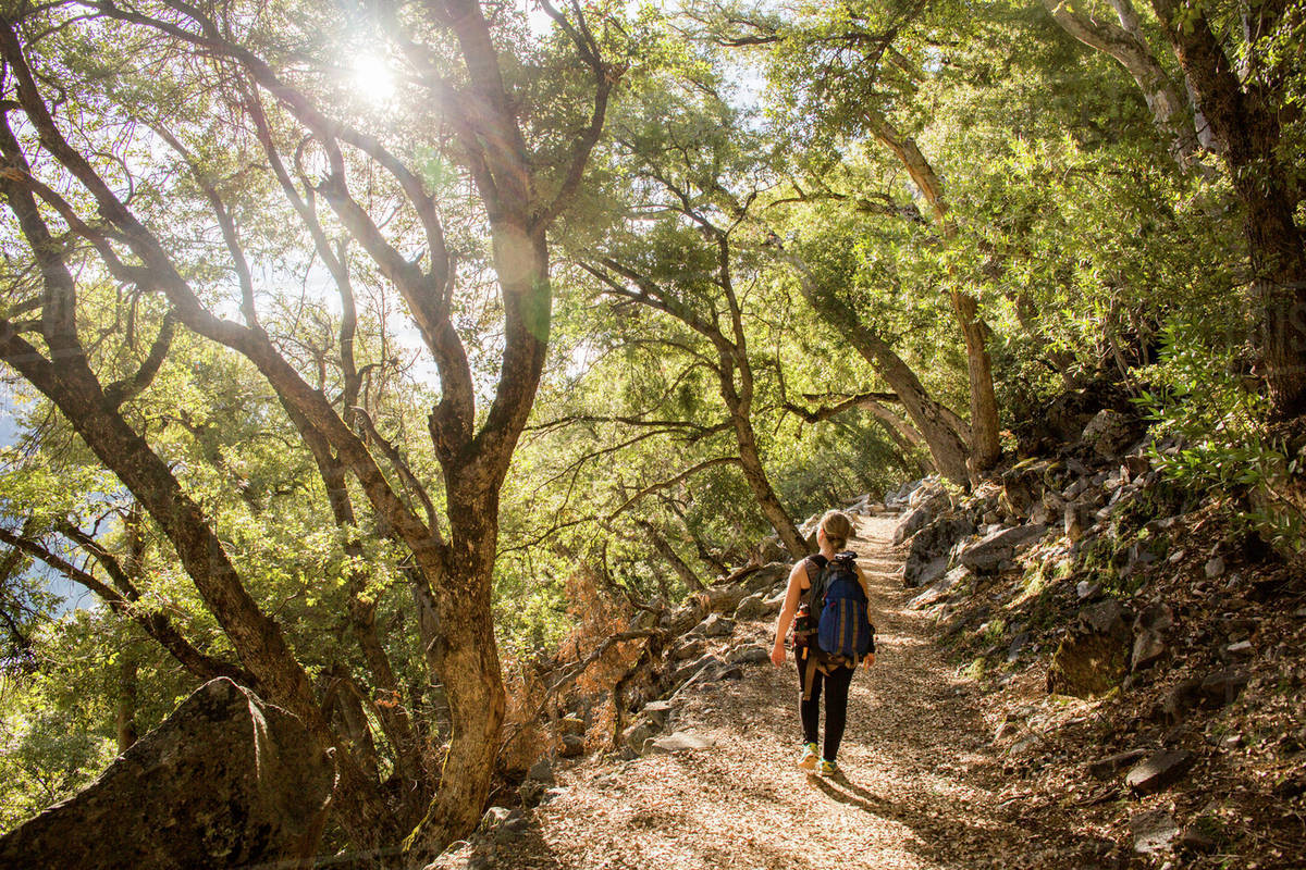 Caucasian woman walking in forest - Royalty-free Stock Photo | Dissolve