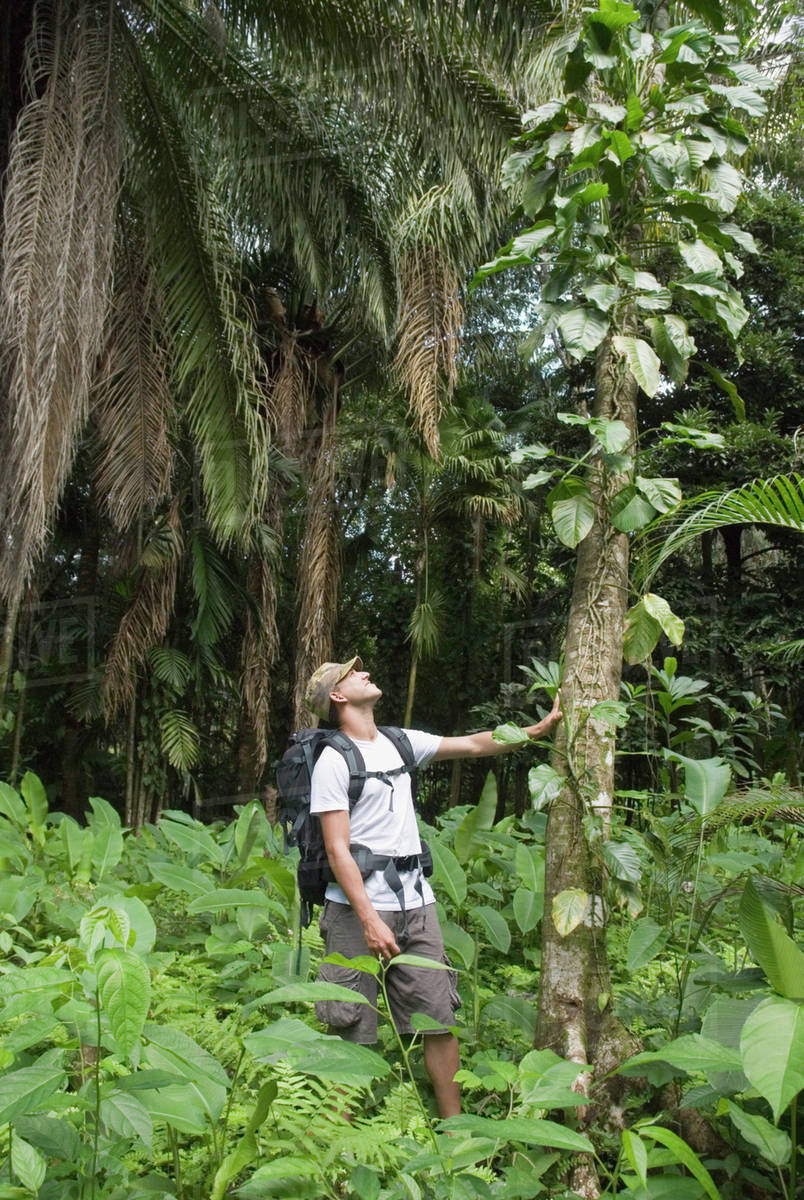 Hispanic man exploring jungle - Royalty-free Stock Photo | Dissolve