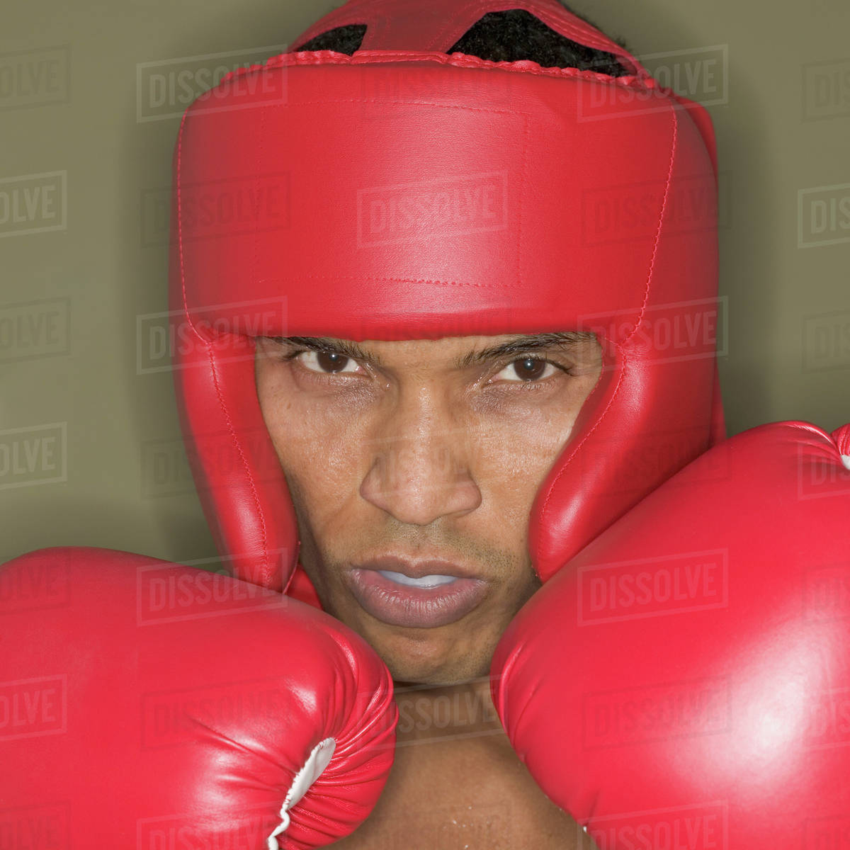 Portrait of boxer - Stock Photo - Dissolve