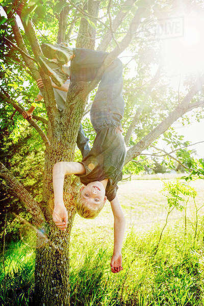 Caucasian boy hanging from tree - Stock Photo - Dissolve