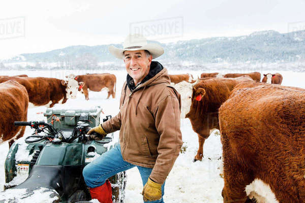 Caucasian farmer with cattle in snowy field - Royalty-free Stock Photo ...