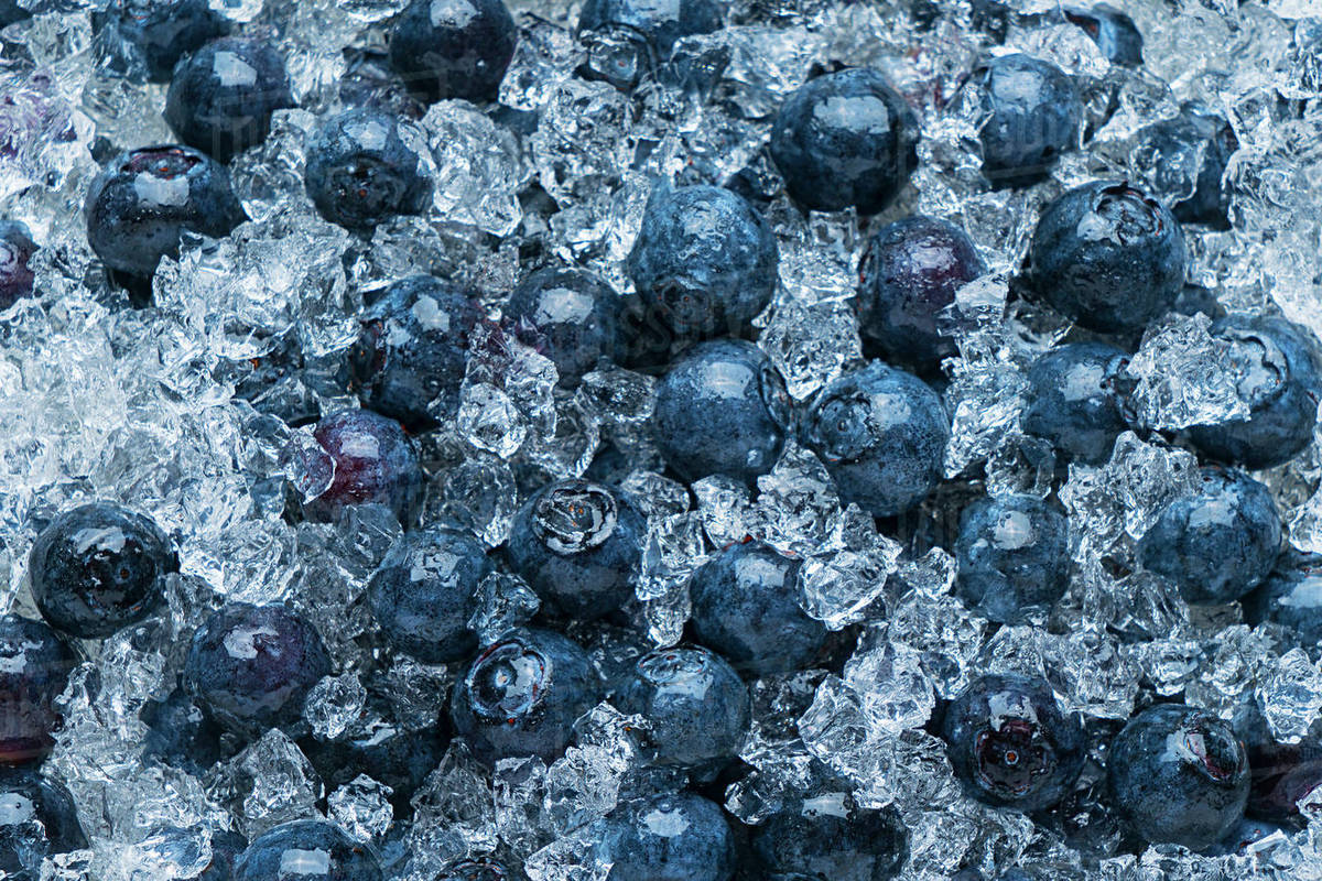 Blueberries on ice - Royalty-free Stock Photo | Dissolve