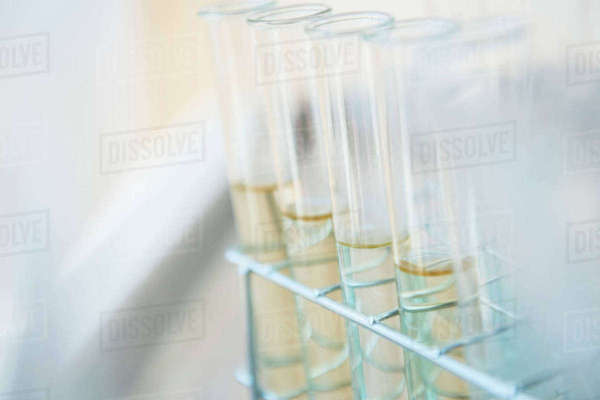 Yellow liquid in test tube rack - Royalty-free Stock Photo | Dissolve