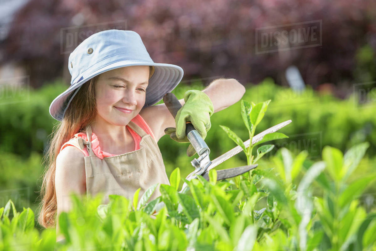 Caucasian girl pruning plants in greenhouse - Royalty-free Stock Photo ...