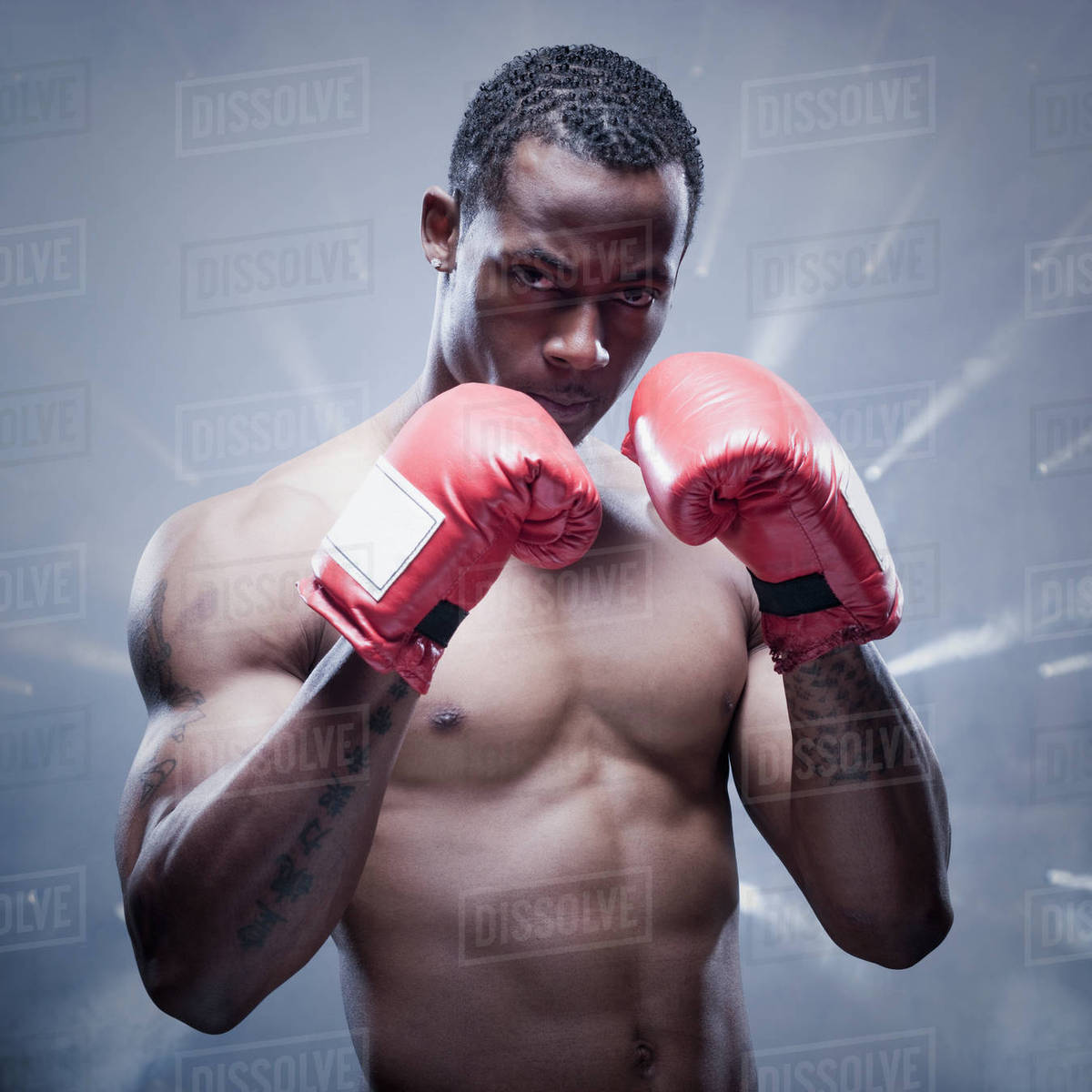 Back lit African boxer with arms raised - Stock Photo - Dissolve