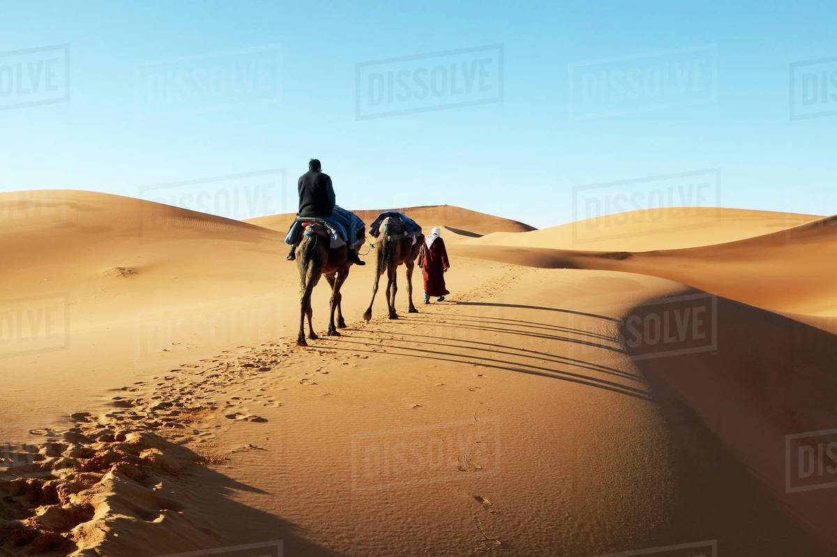 Person walking in desert with camel - Royalty-free Stock Photo | Dissolve