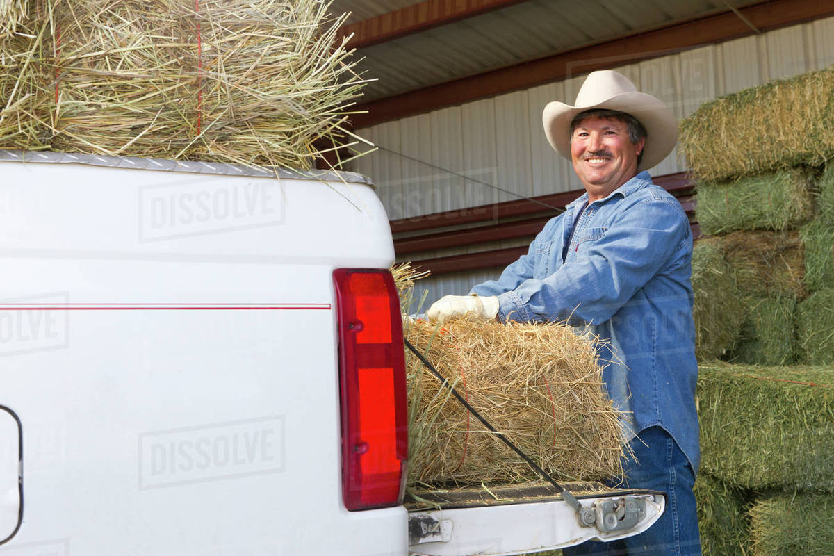 Hispanic man loading hay onto truck - Royalty-free Stock Photo | Dissolve