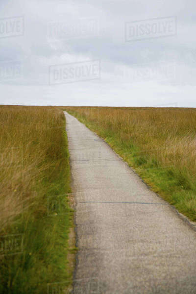 Path through field - Royalty-free Stock Photo | Dissolve