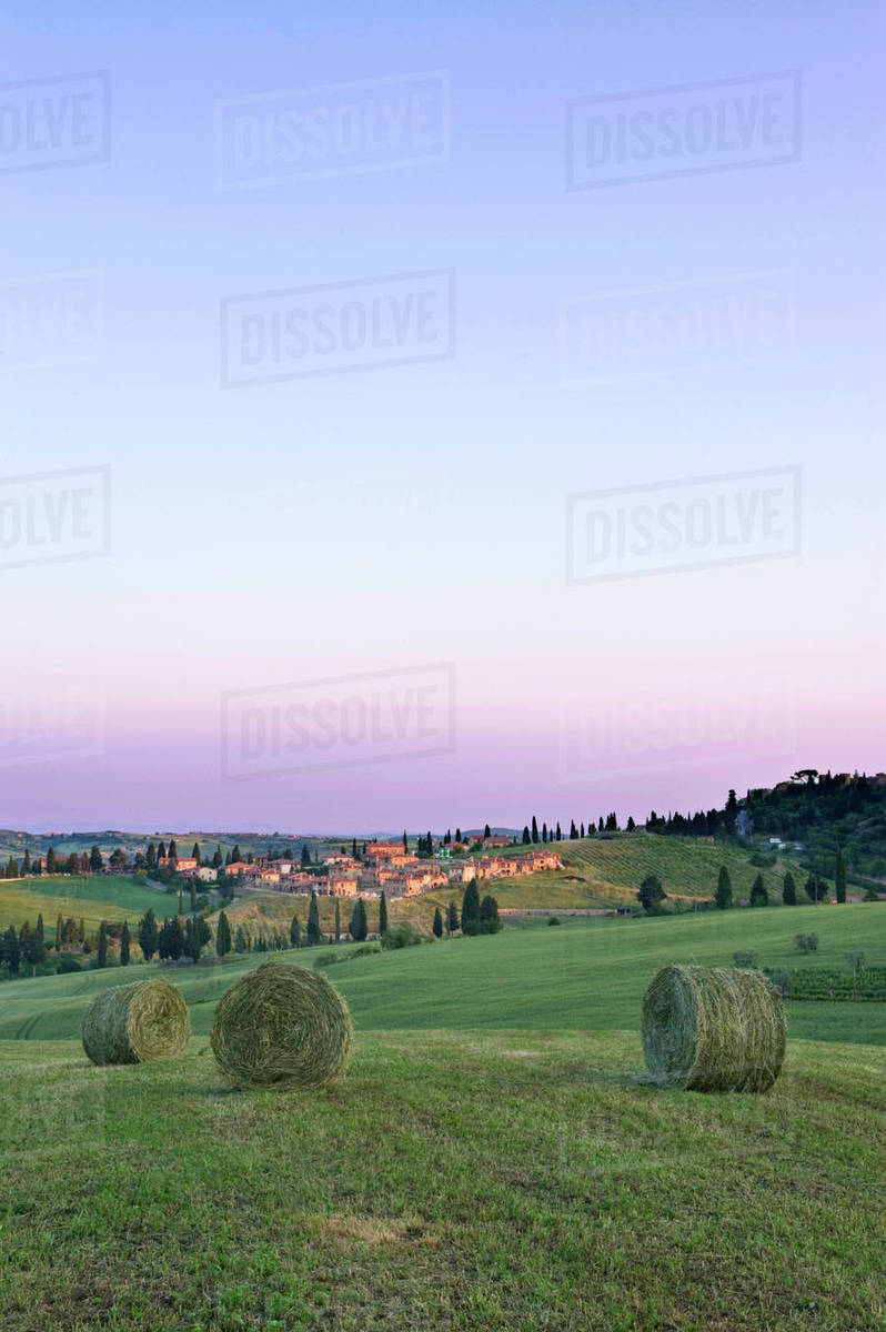 Spring Hay Harvest - Stock Photo - Dissolve
