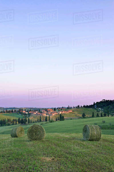 Spring Hay Harvest - Stock Photo - Dissolve