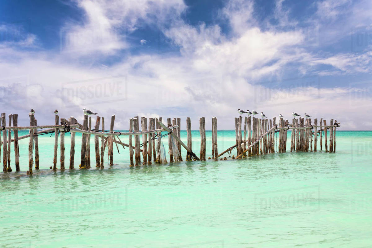 Wooden fence extending into ocean - Royalty-free Stock Photo | Dissolve