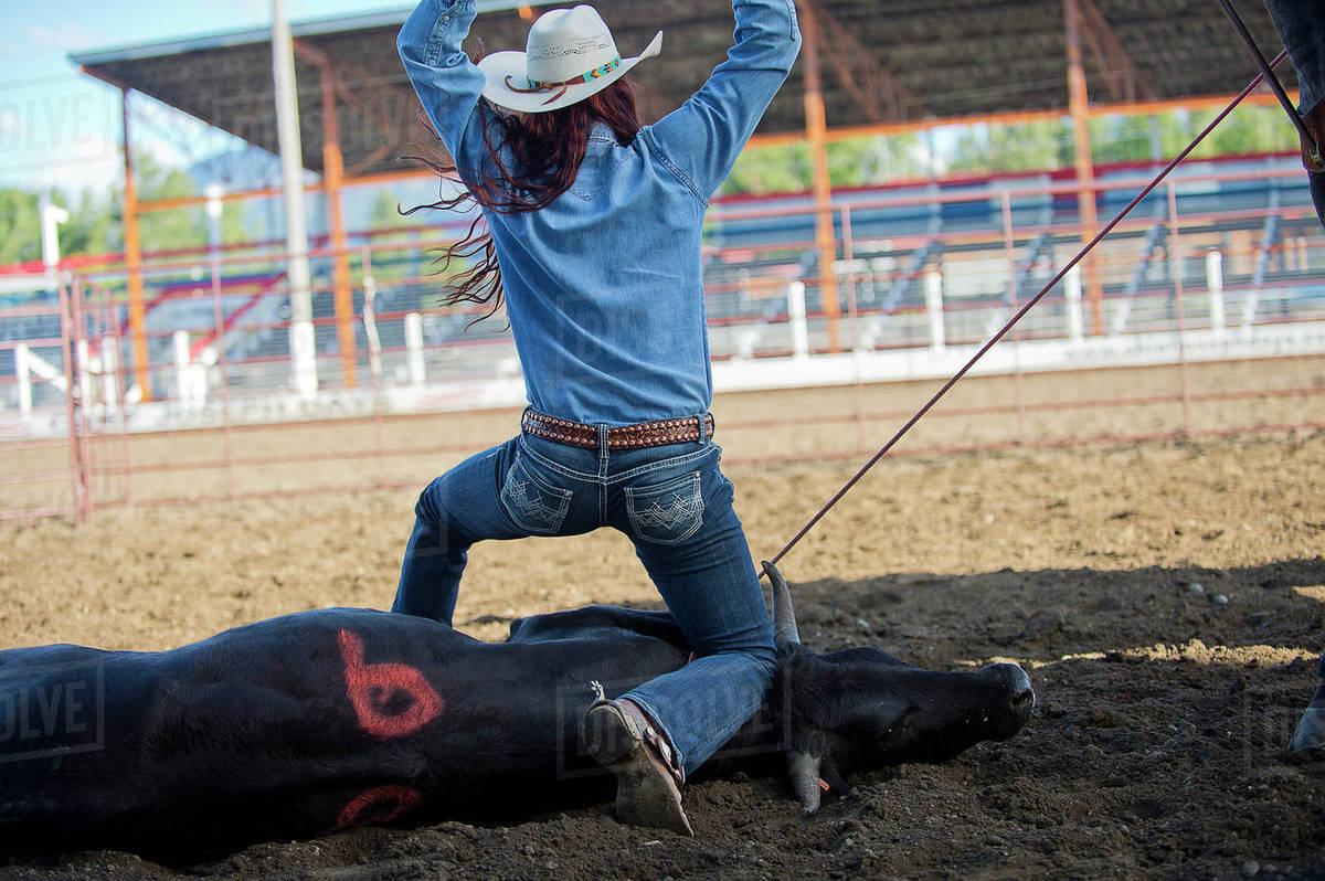 Caucasian cowgirl tying cattle in rodeo on ranch - Royalty-free Stock ...