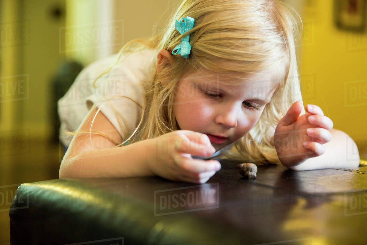 Caucasian girl playing with snail on ottoman - Stock Photo - Dissolve