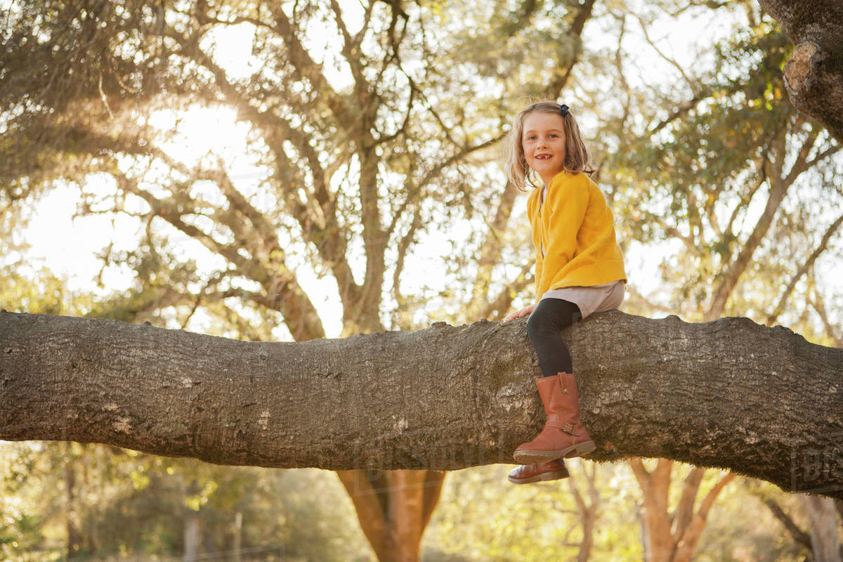 Girl sitting on tree branch in park - Stock Photo - Dissolve