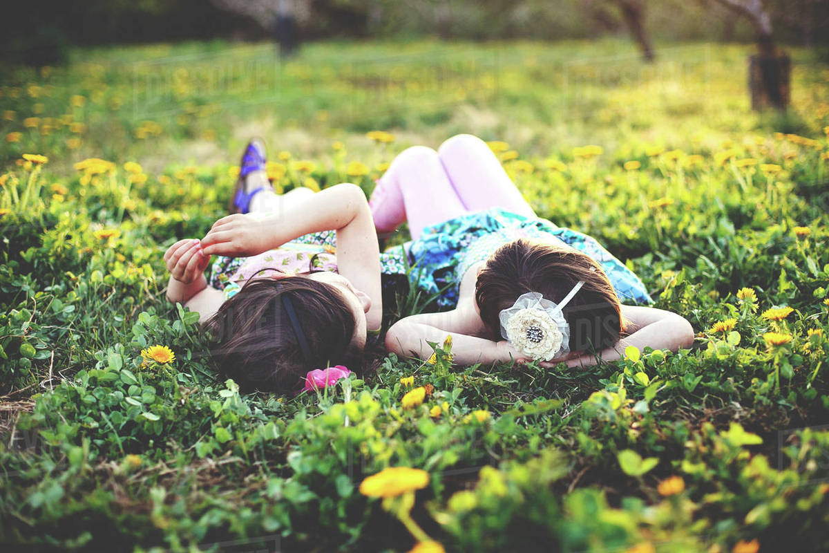 Girls talking and laying in field of flowers - Stock Photo - Dissolve