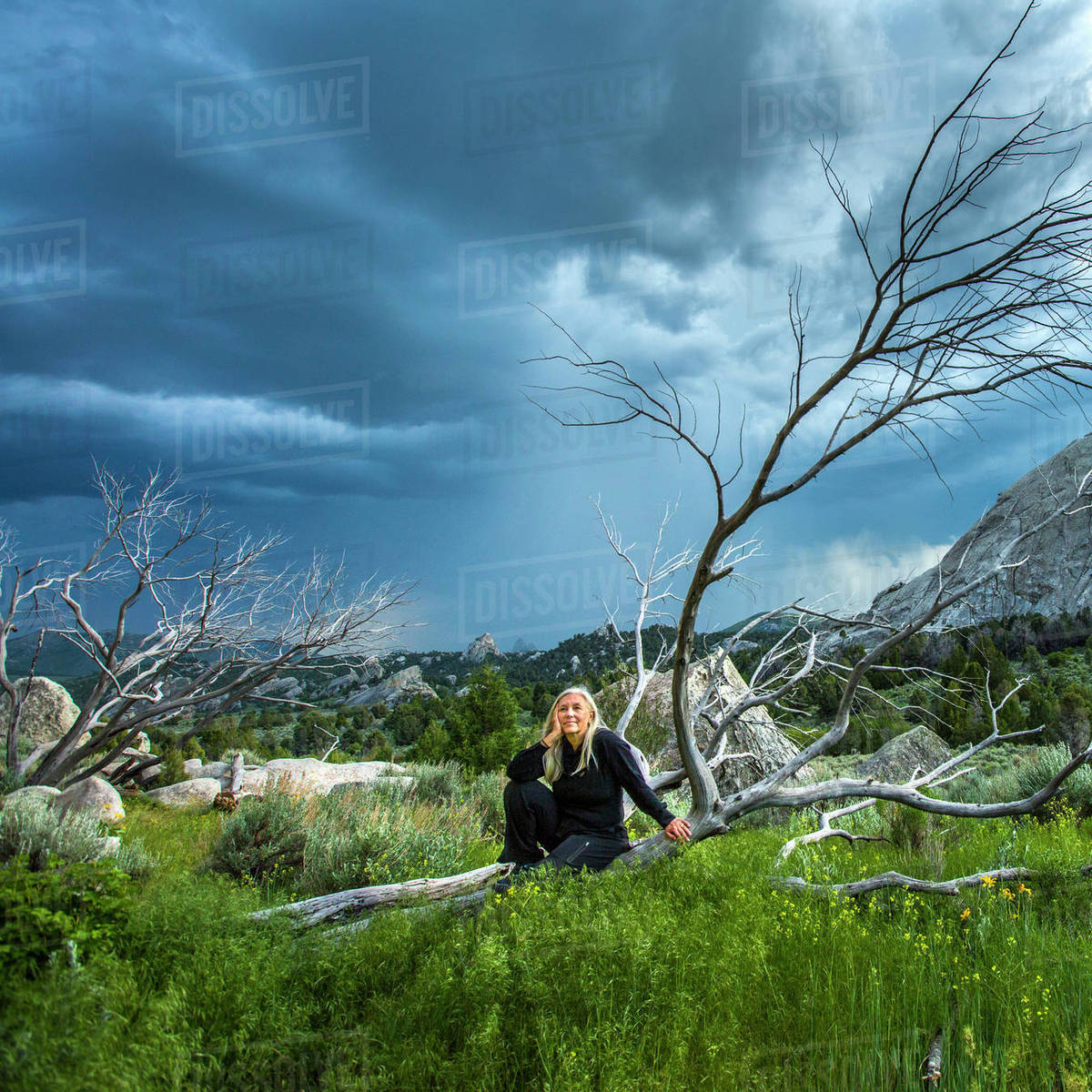 Caucasian woman sitting on fallen tree under clouds - Stock Photo ...